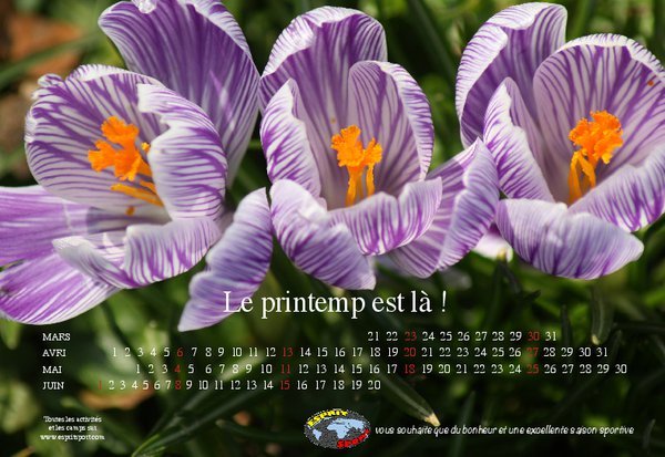 C'est le printemps ! | ESPRITSPORT